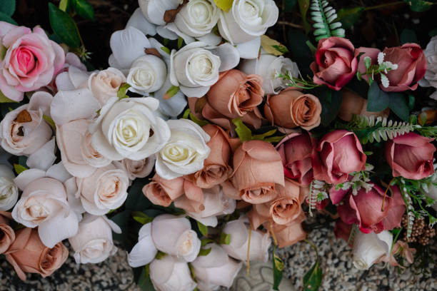 Spring Flower Trends in Christchurch: What’s Blooming This Year? – Ilam ...